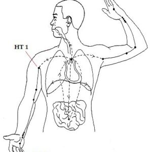 Meridian Connection - TCM World