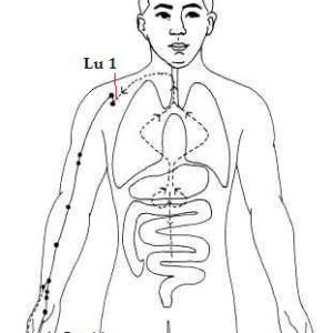 Meridians - TCM World