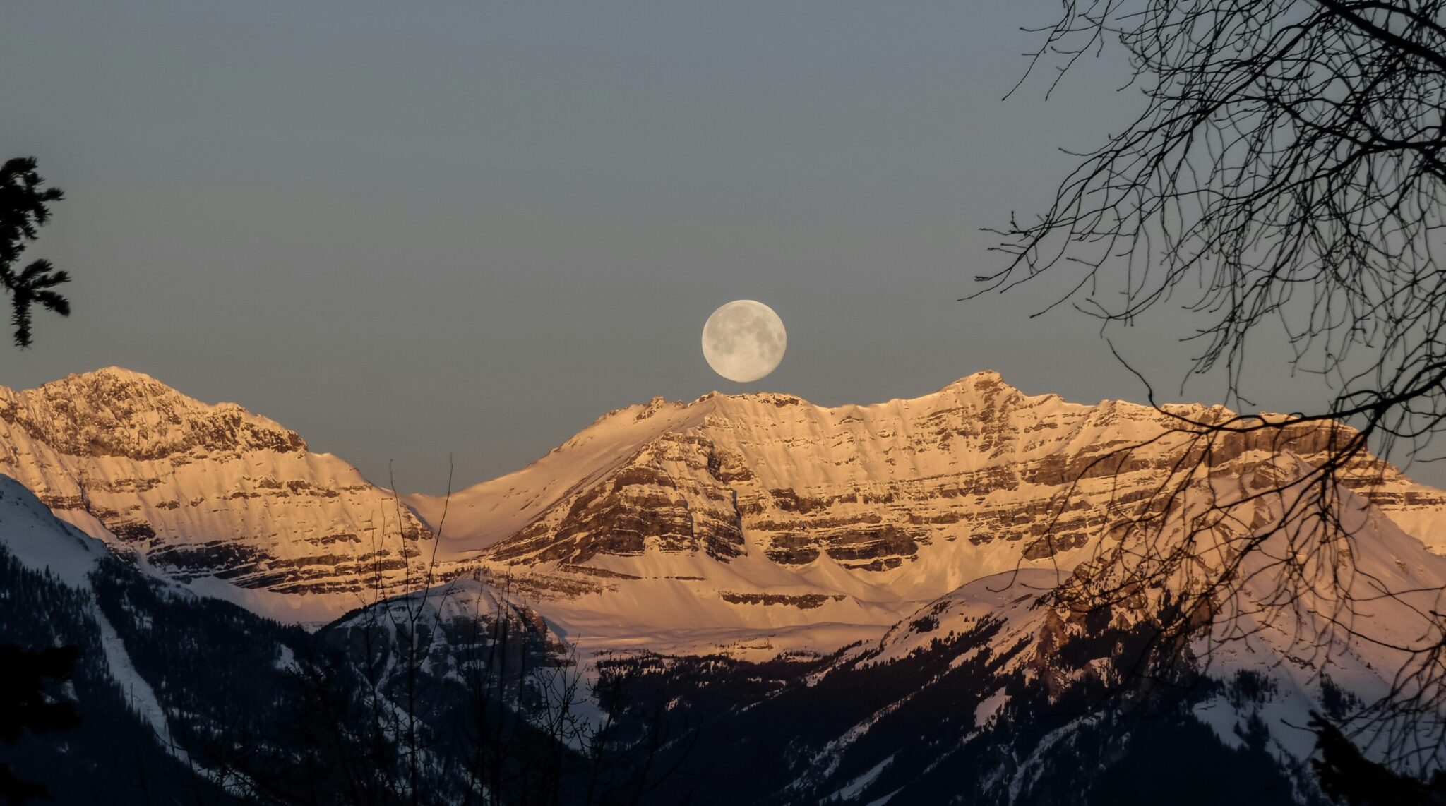 Full Snow Moon: Connections and the Power of the Invisible - TCM World